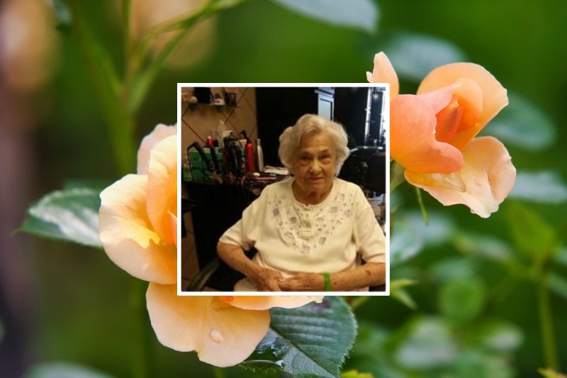 OBITUARY: Mary Elizabeth Carter - Davidson County Source