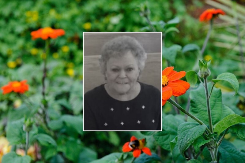 OBITUARY: Joyce Mae (White) Hicks - Davidson County Source