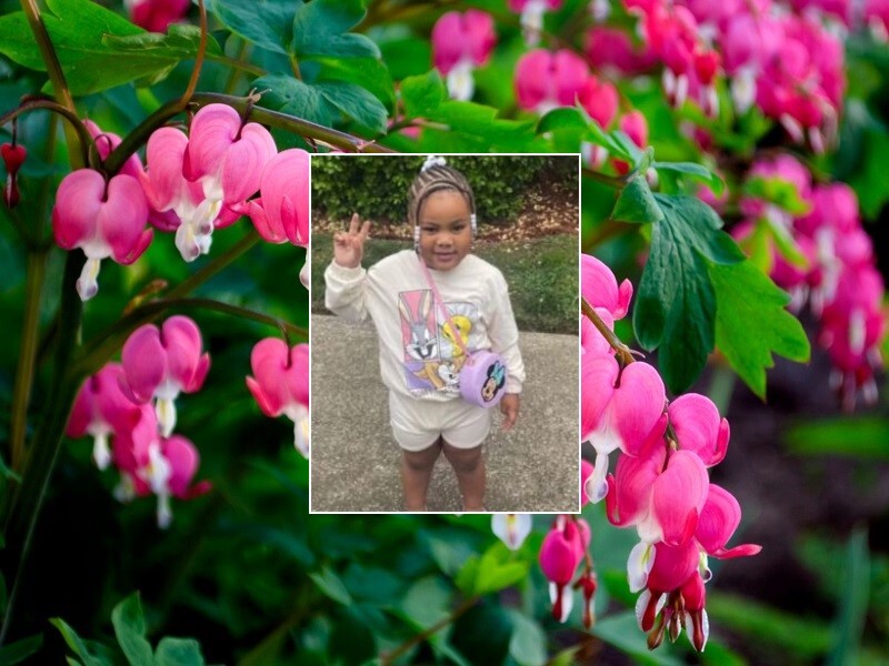OBITUARY: Taliyah Frazier - Davidson County Source