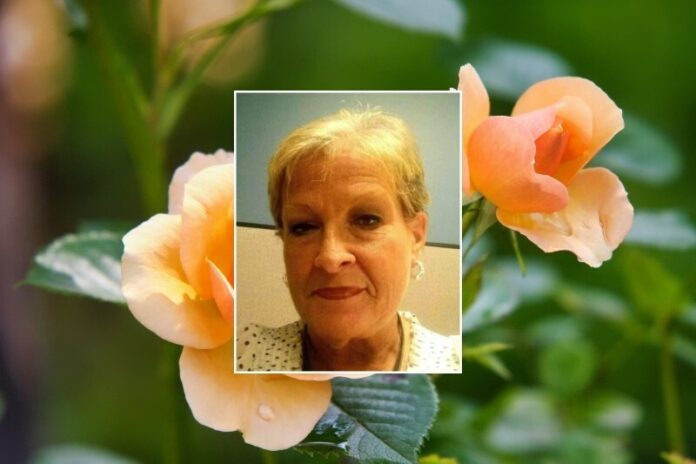 OBITUARY: Catherine Renee Linebaugh - Davidson County Source