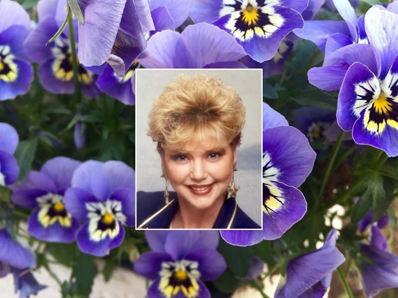 OBITUARY: Vicki Rainbolt - Davidson County Source