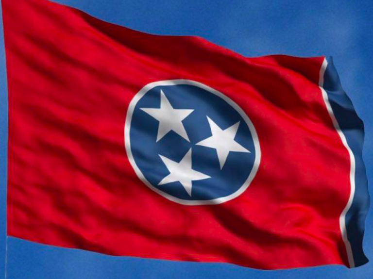 Nov. 5 2024 Tennessee Election Results - Davidson County Source