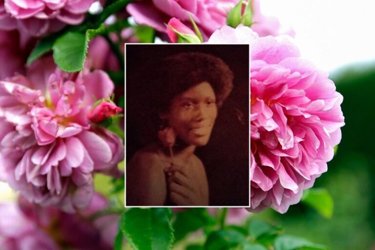 OBITUARY: Sandra Jean Scaife-Gray - Davidson County Source