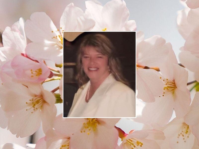 OBITUARY: Lisa Dawn Hinson - Davidson County Source