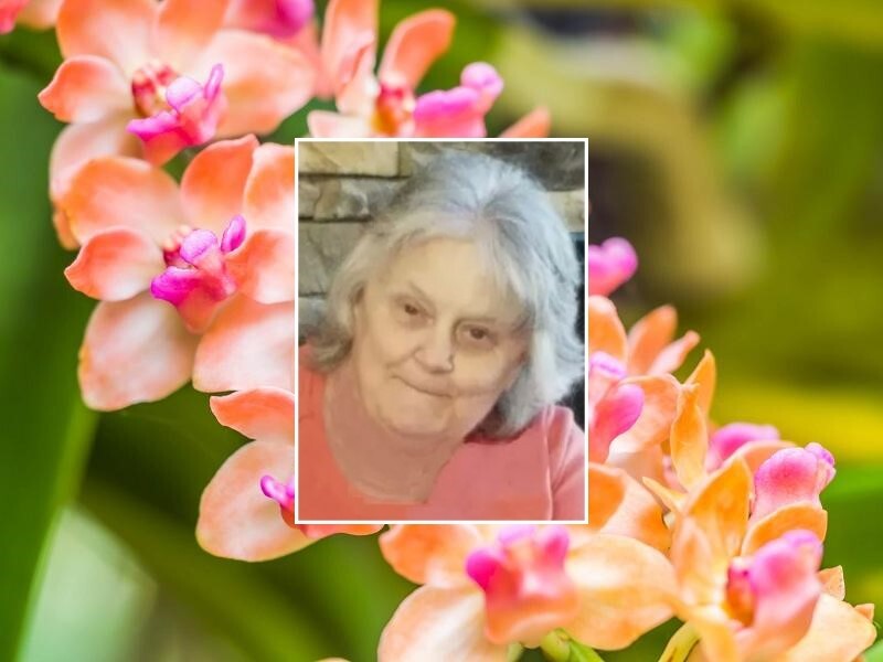 OBITUARY: Sarah Ann Baker - Davidson County Source