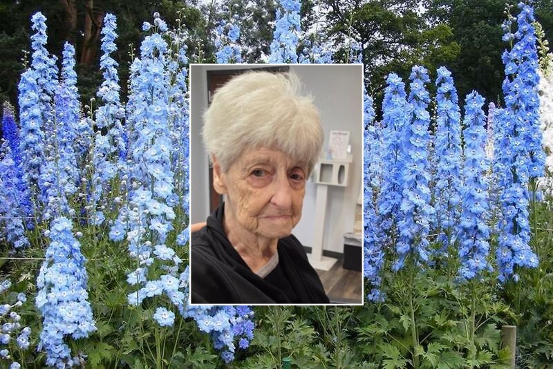 OBITUARY: Marcia Kay Lawrence - Davidson County Source