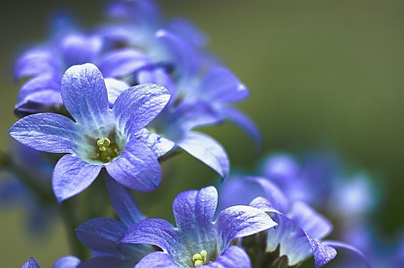 OBITUARY: Katherine Catlin - Davidson County Source