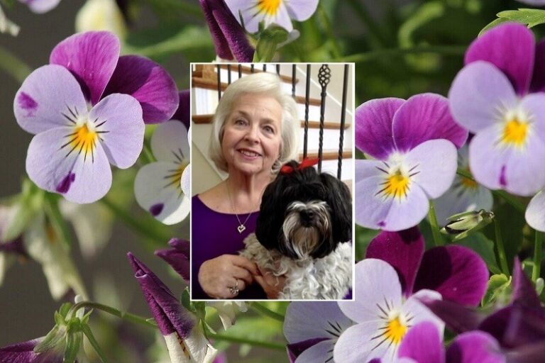 OBITUARY: Carol June Meeks Phelps - Davidson County Source