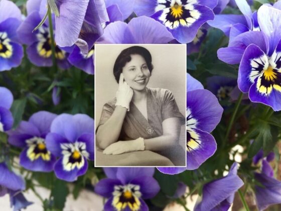 OBITUARY: Mary Frances Roberson Wingo - Davidson County Source