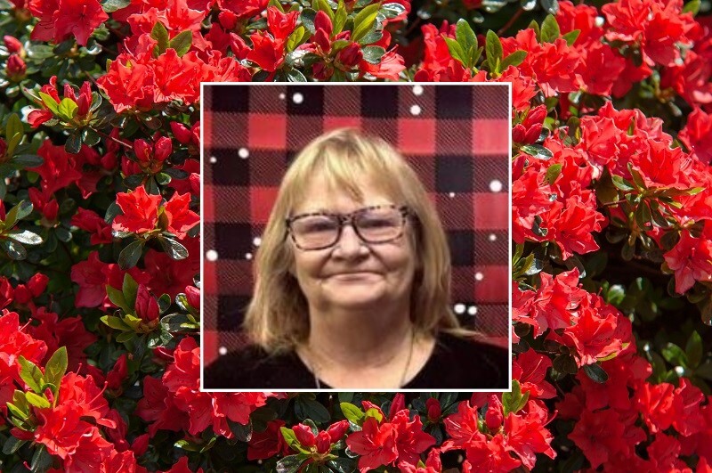 OBITUARY: Donna Renee Taylor - Davidson County Source