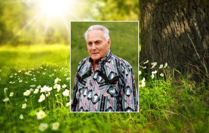 OBITUARY: James 'Jim' Emerton - Davidson County Source